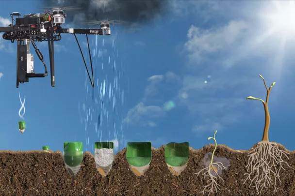 AI Powered Drone Reforestation – Futr Management: Pioneers in Hemp ...